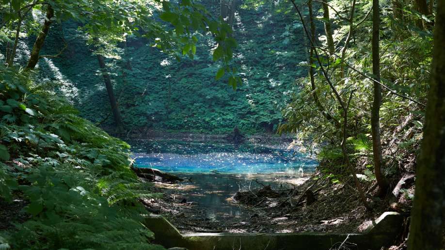 5 destinos para conocer el Japón de Tatsumi