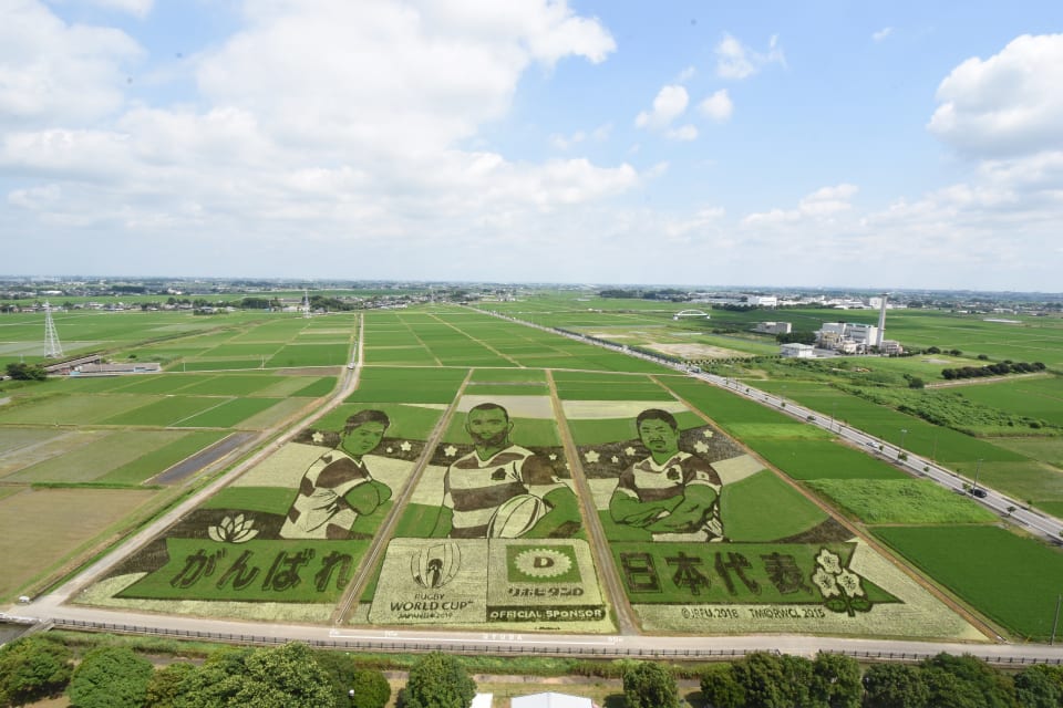 Saitama | Gyoda Rice Field Art | Blog | Travel Japan (Japan National ...