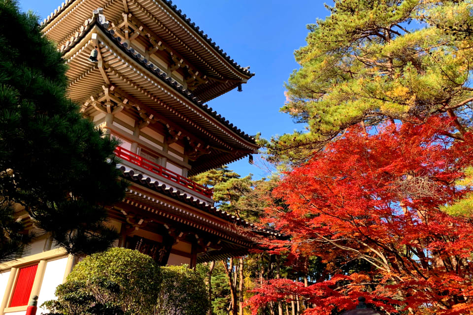 Miyagi | Enjoy Sendai's spectacular autumn leaves | Blog | Travel Japan ...