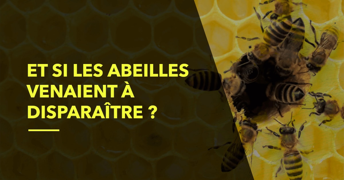 Et si les Abeilles Venaient à Disparaître