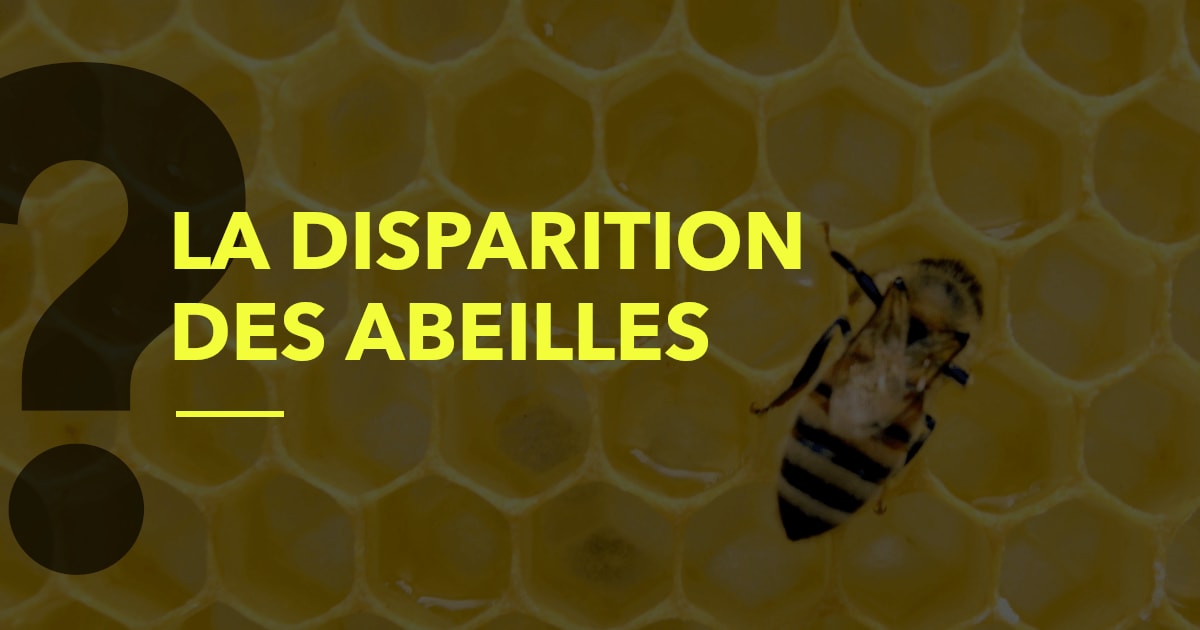 Pourquoi les Abeilles Disparaissent-Elles