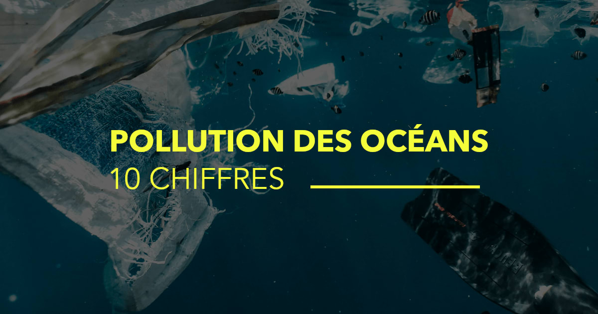 La Pollution du Plastique dans les Océans en 10 Chiffres (2024)