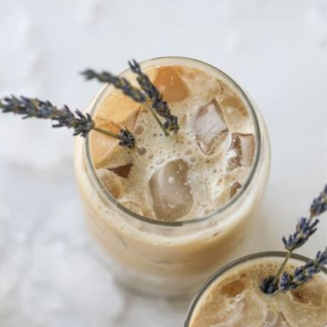 Sweet Honey Bee | Over Ice