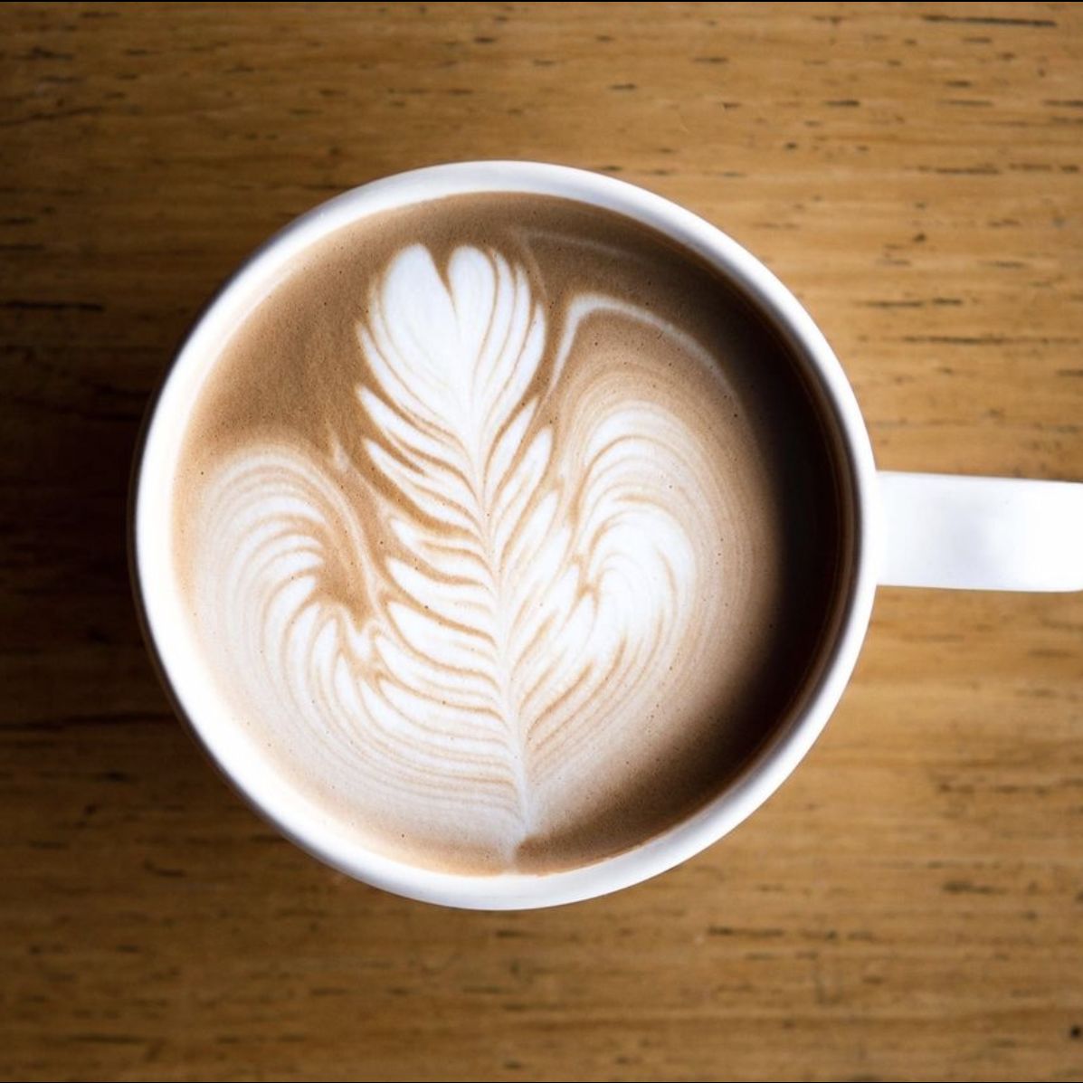 Hot Mocha