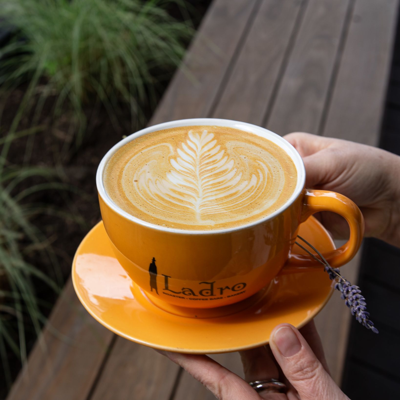 Honey Lavender Latte