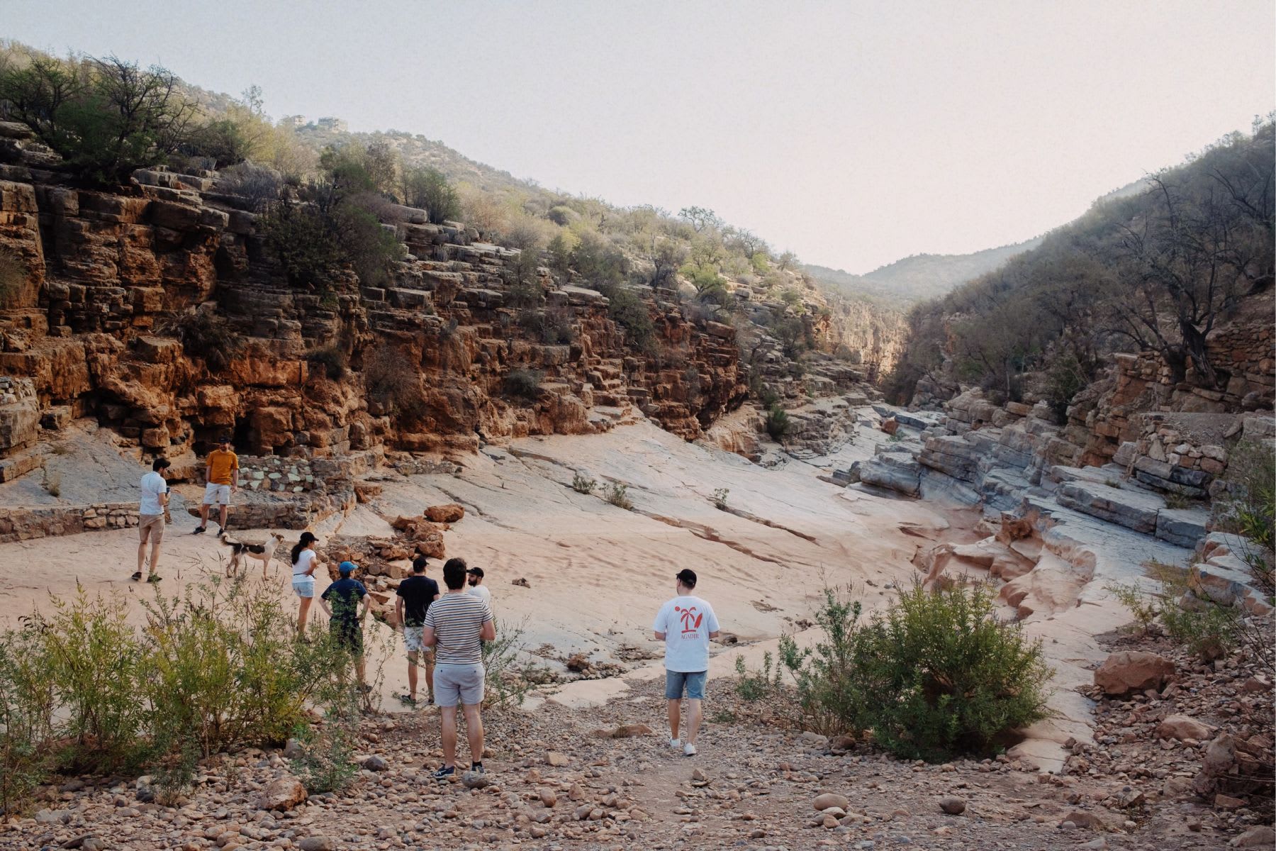 Join the Liveblocks team!