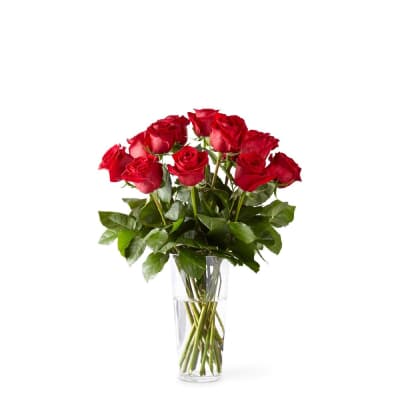 Premium Red Rose Bouquet | Interflora