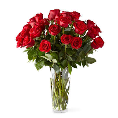 Premium Red Rose Bouquet | Interflora