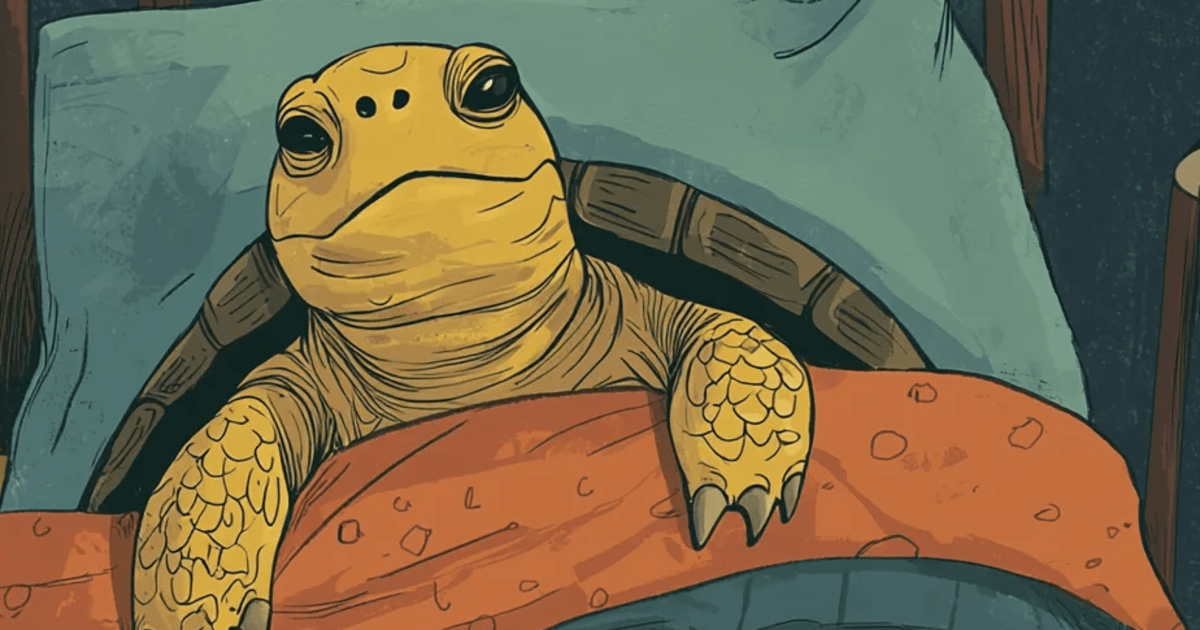 Turtle Bed E-Card | Get Well Card | Joyogram