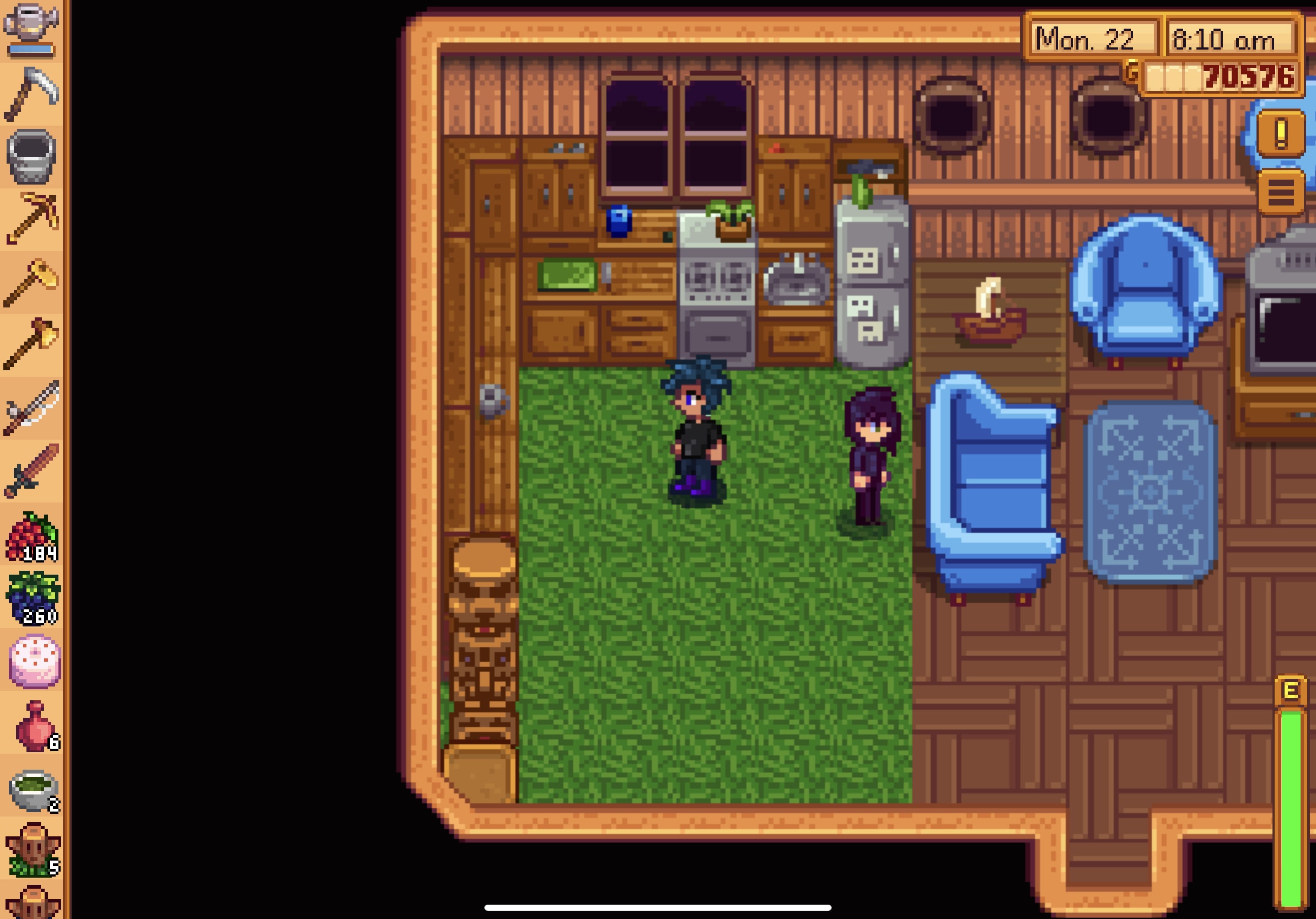 Can You Change Kitchen Floor Stardew: Ultimate Guide