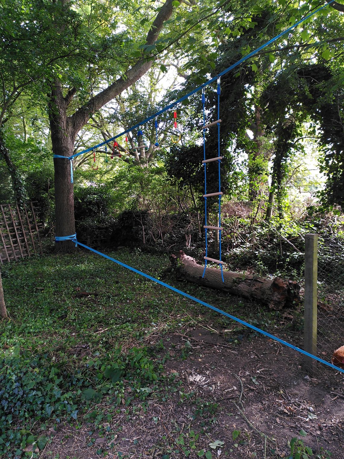 Ninja Line - Juan Fernandes - Frontend Developer