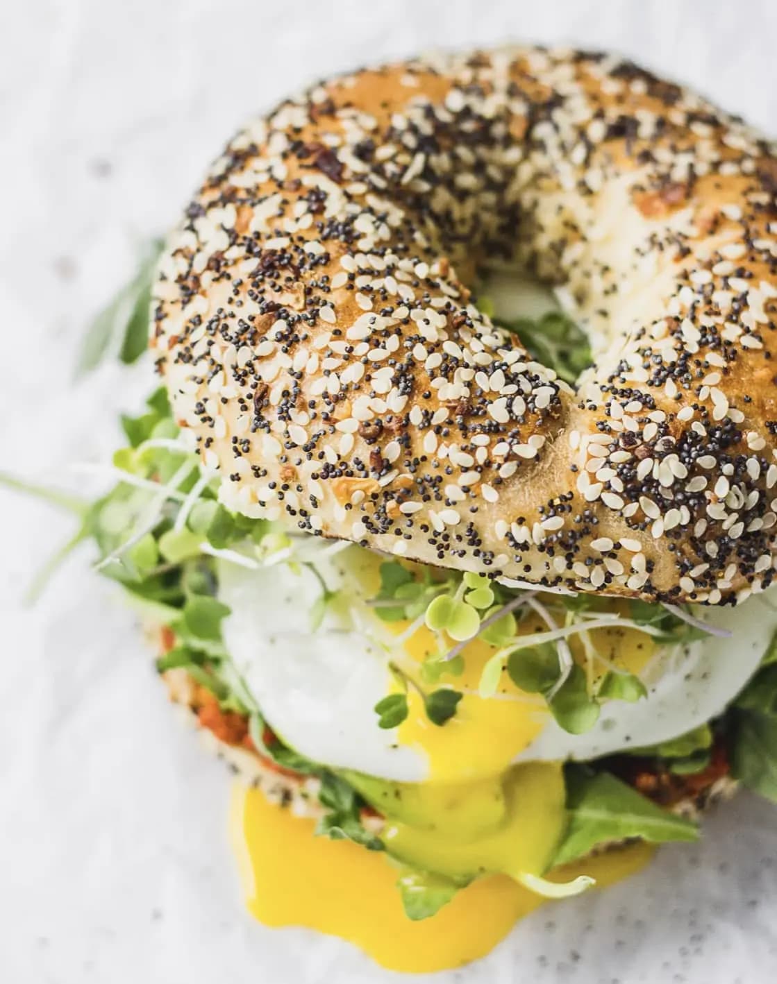Everything Bagel