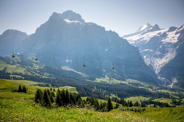 Grindelwald-First-Firstbahn-vor-Wetter-und-Schreckhorn-2