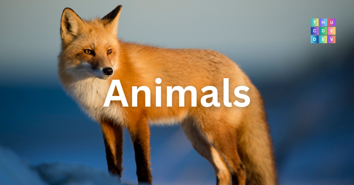 Animals | Thucde.dev