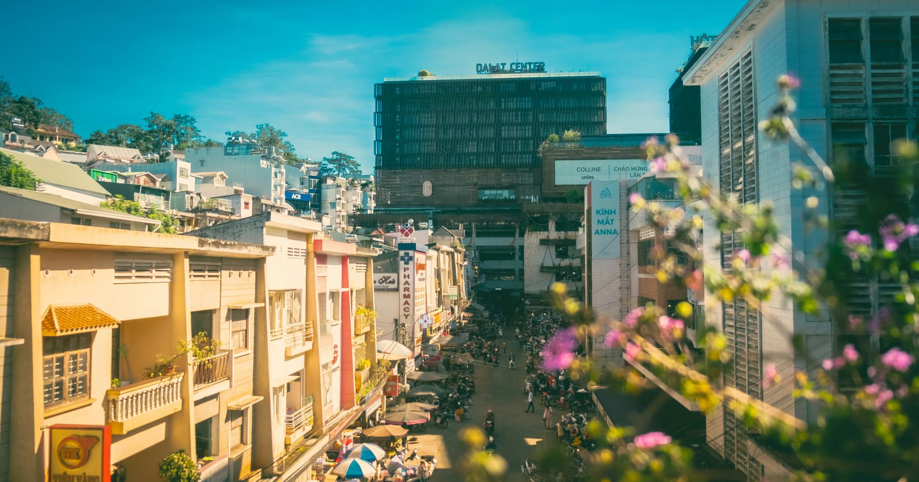 Xe khách đi Đà Lạt mới nhất 2024 | Thucde.dev