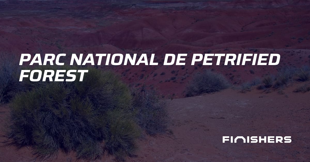 🏃 Corridas no Parque Nacional da Floresta Petrificada | Finishers