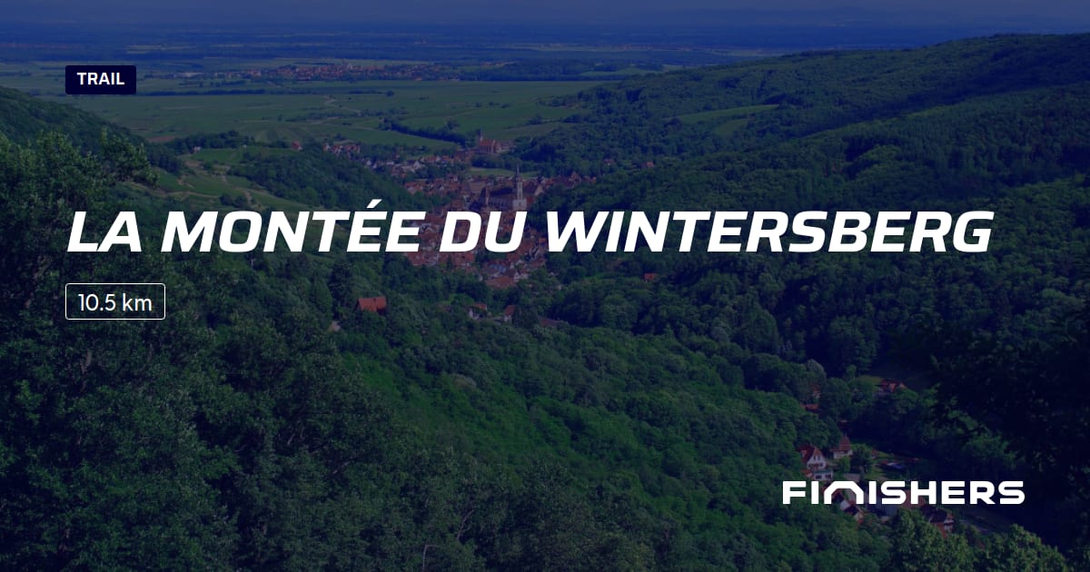 🏃 La montée du Wintersberg 2025 - All the information about the race and registration process ...