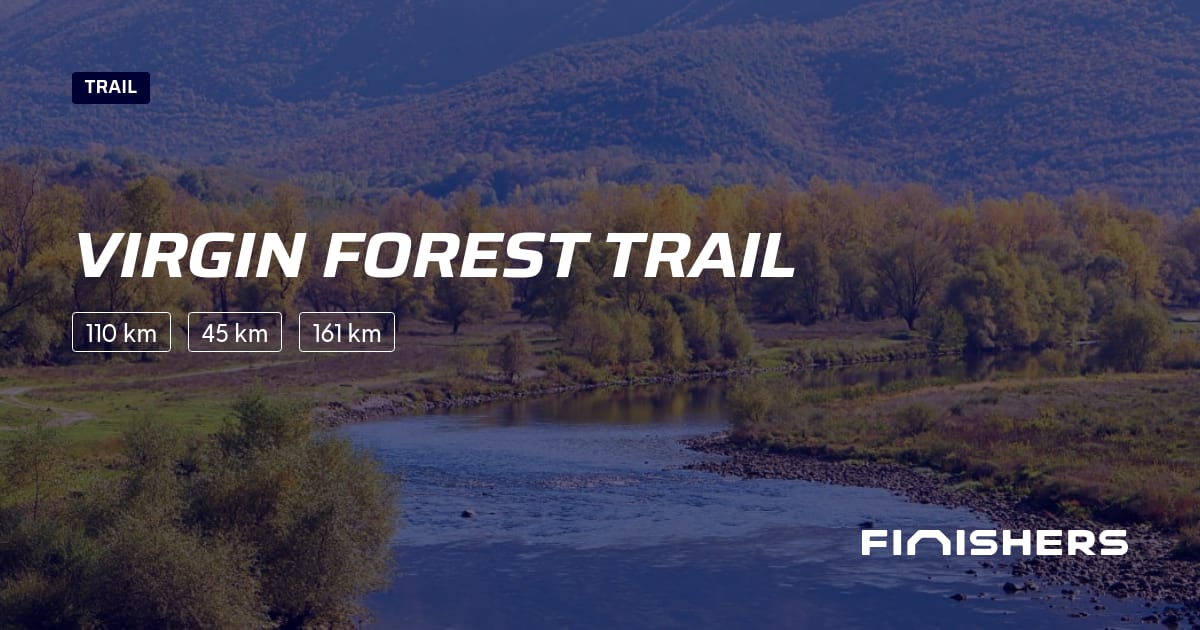 🏃 Virgin Forest Trail 2026 - Toda la información sobre los recorridos ...