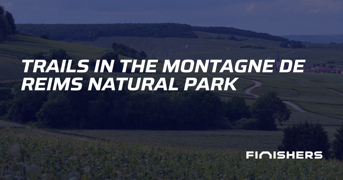 🏃 Trails in the Montagne de Reims Natural Park | Finishers