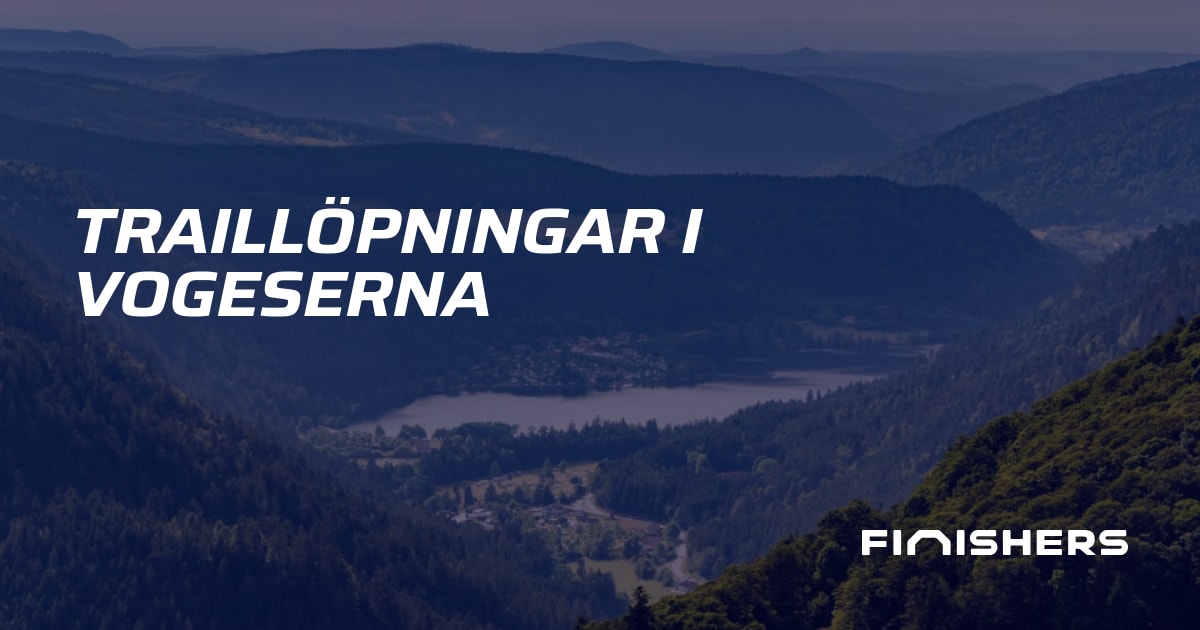 🏃 Traillöpningar i Vogeserna | Finishers