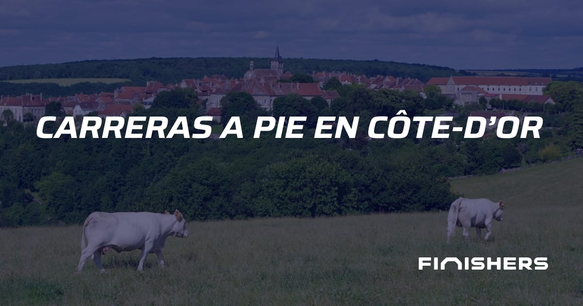 🏃 Carreras a pie en Côte-d’Or | Finishers