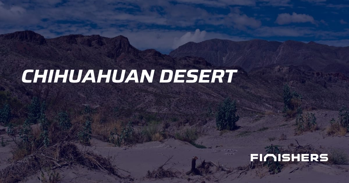 🏃 Running in the Chihuahuan Desert | Finishers