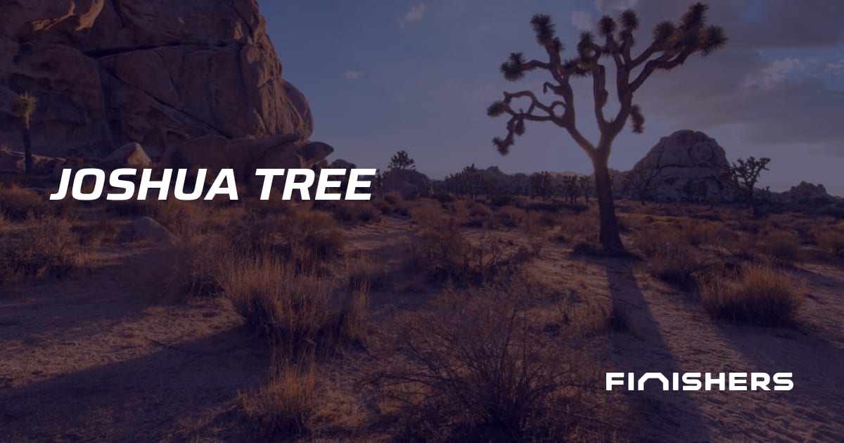 🏃 Running Races in Joshua Tree | Finishers