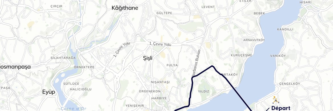 🏃 Marathon d'Istanbul 2025 - Parcours, inscriptions & résultats | Finishers