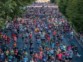 🏃 Marathon de Madrid 2025 - Parcours, inscriptions & résultats | Finishers
