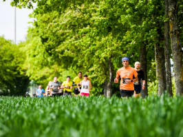 🏃 Geneva Marathon 2026 - All the information about the race and ...