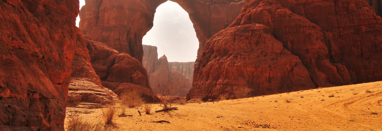🏃 Treg Ennedi Trail 2025 - Alle Strecken-, Ergebnis- und Anmeldeinfos ...