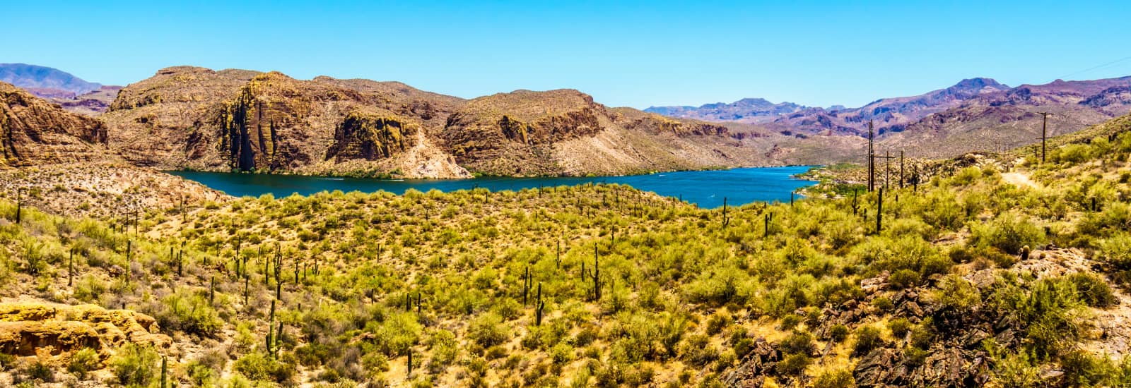 Pinal Peak Trail Runs - Toutes les infos