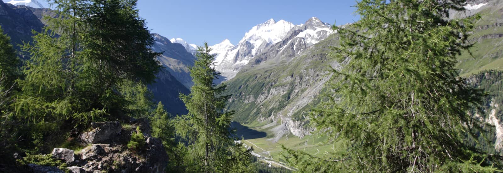 Trails du Besso - Toutes les infos