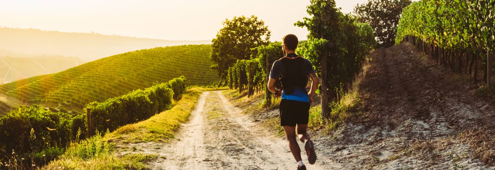 🏃 Calendrier des trails longs | Finishers