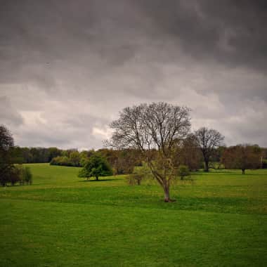 🏃 Calendar of the races in Reading in 2025/2026: running, trails, ultra ...