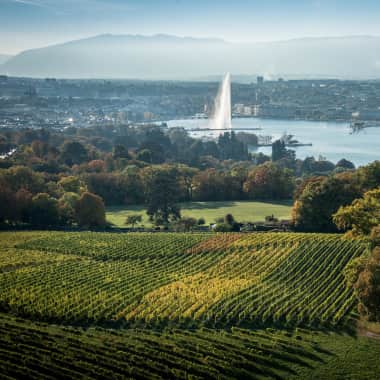 🏃 Calendar of the races in Geneva in 2026 | Finishers
