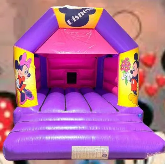 Disney Themed Pink And Purple Castle Inflatable and Soft Play Hire Redcar