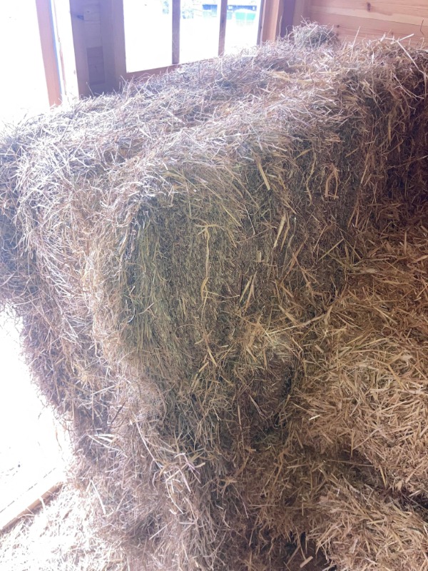 Hay Bales - Winchester Poultry Farm & Livestock