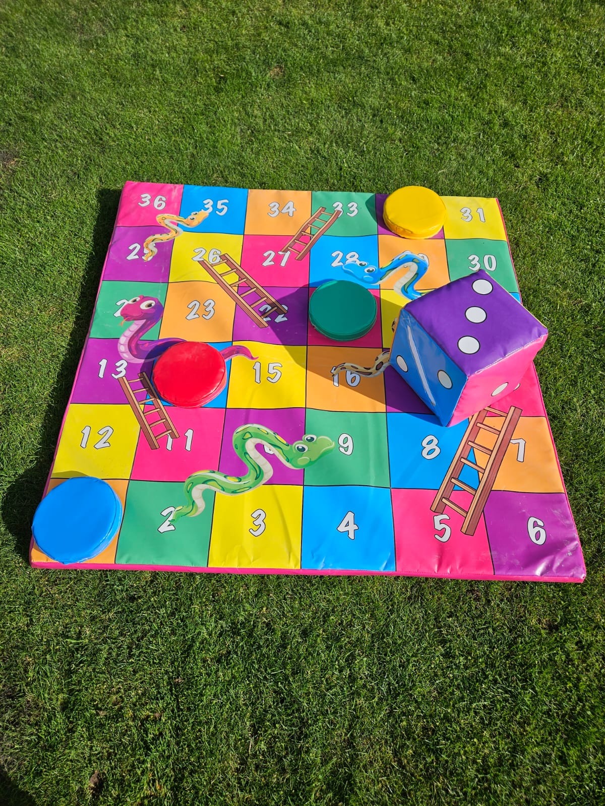 Snakes And Ladders - Premier Parties