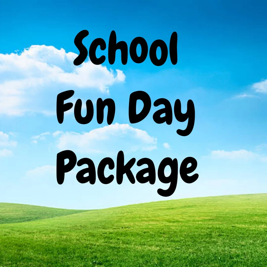 School Fun Day Package - Mascot Madness Entertainment