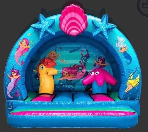 Mermaid Castle For Hire Barrhead, Glasgow Bounce Up Inflatables