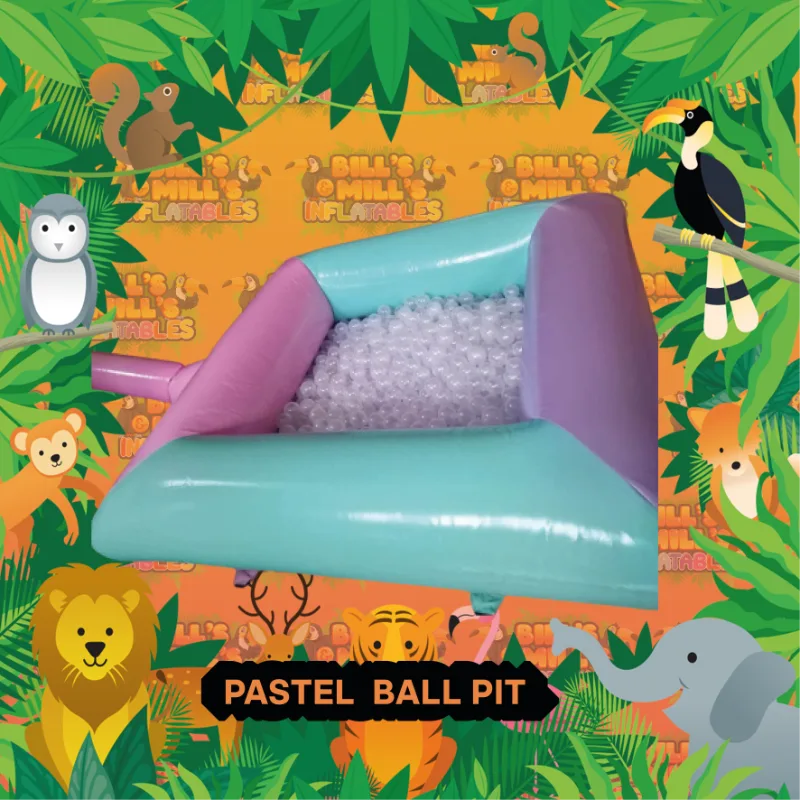 Pastel Ball Pit, Bringing Joy To Kings Lynn - Bills and Mills Inflatables