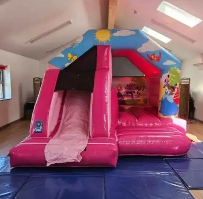 Princess Front Slide Castle Combi - Kathryns Kastles and Soft Play