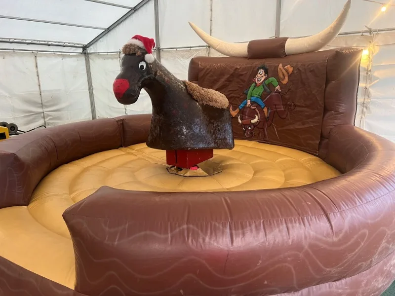 Rodeo Reindeer Hire Across The Uk, Including Kent, Essex, London ...