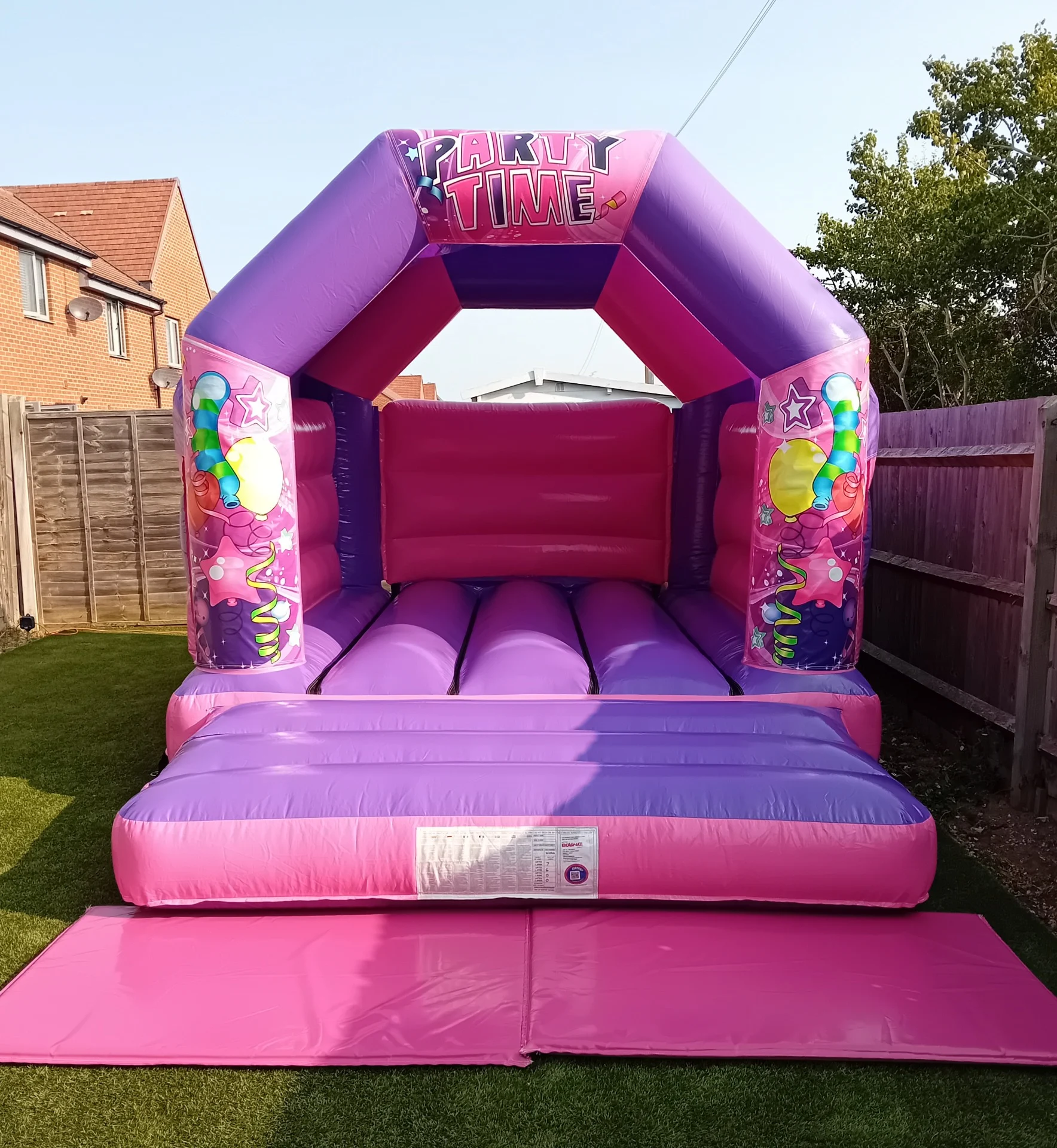 Party Theme Pink And Purple Bouncy Caste 11x15 - Dino Tots Bouncy ...