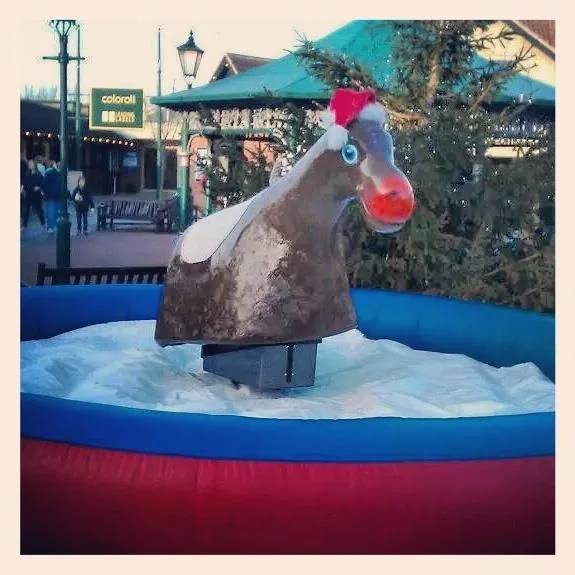 Rodeo Reindeer Hire Hull Beverley East Riding Of Yorkshire - Fun 4 All ...