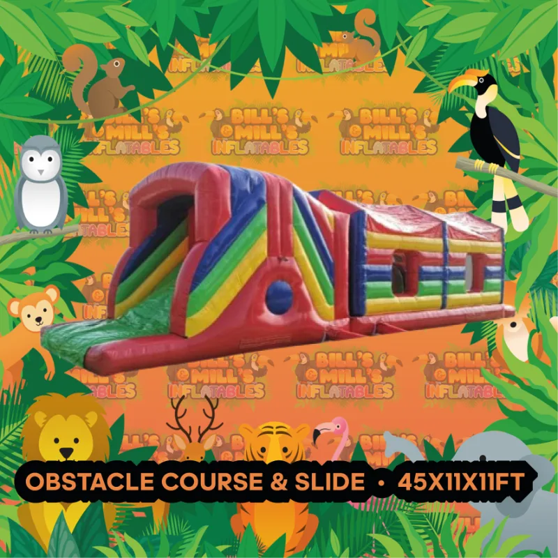 Obstacle Course Slide 45x11x11ft, Bringing Joy To Kings Lynn - Bills ...