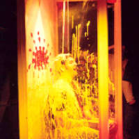Classic Gunge Tank - Foam Pit Hire
