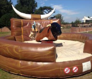 Home - Rodeo Bull Hire London | Essex | Kent | Surrey