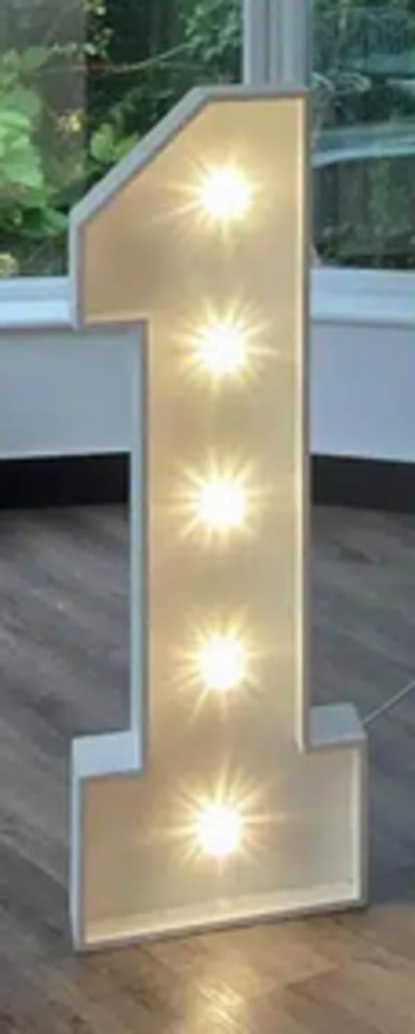 4ft Led Numbers - Number 1 - Electric Party Hire